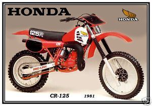 honda 1981 cr